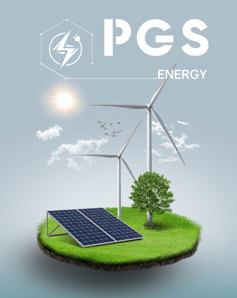 PGS Africa – Solutions digitales